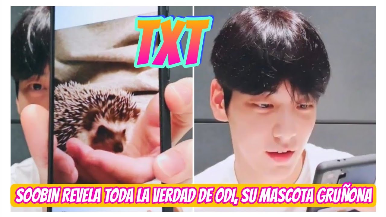 TXT - SOOBIN REVELA TODA LA VERDAD DE ODI, SU MASCOTA GRUÑONA - YouTube