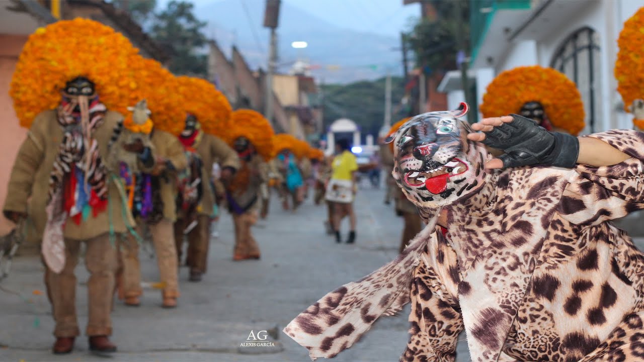8vo Festival del Tlacololero Chichihualco Guerrero 2023 - YouTube