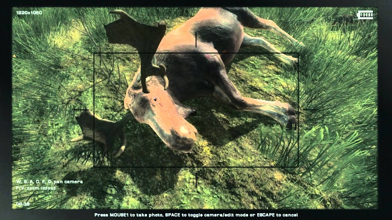 The Hunter 4 moose kills with Huge Bull Moose Charge!!! - YouTube