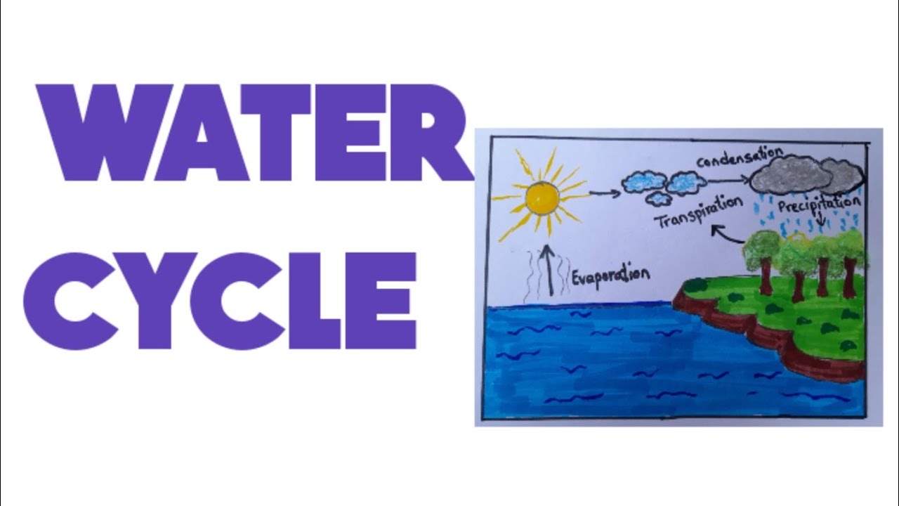Easy water cycle scenery for school projects - YouTube