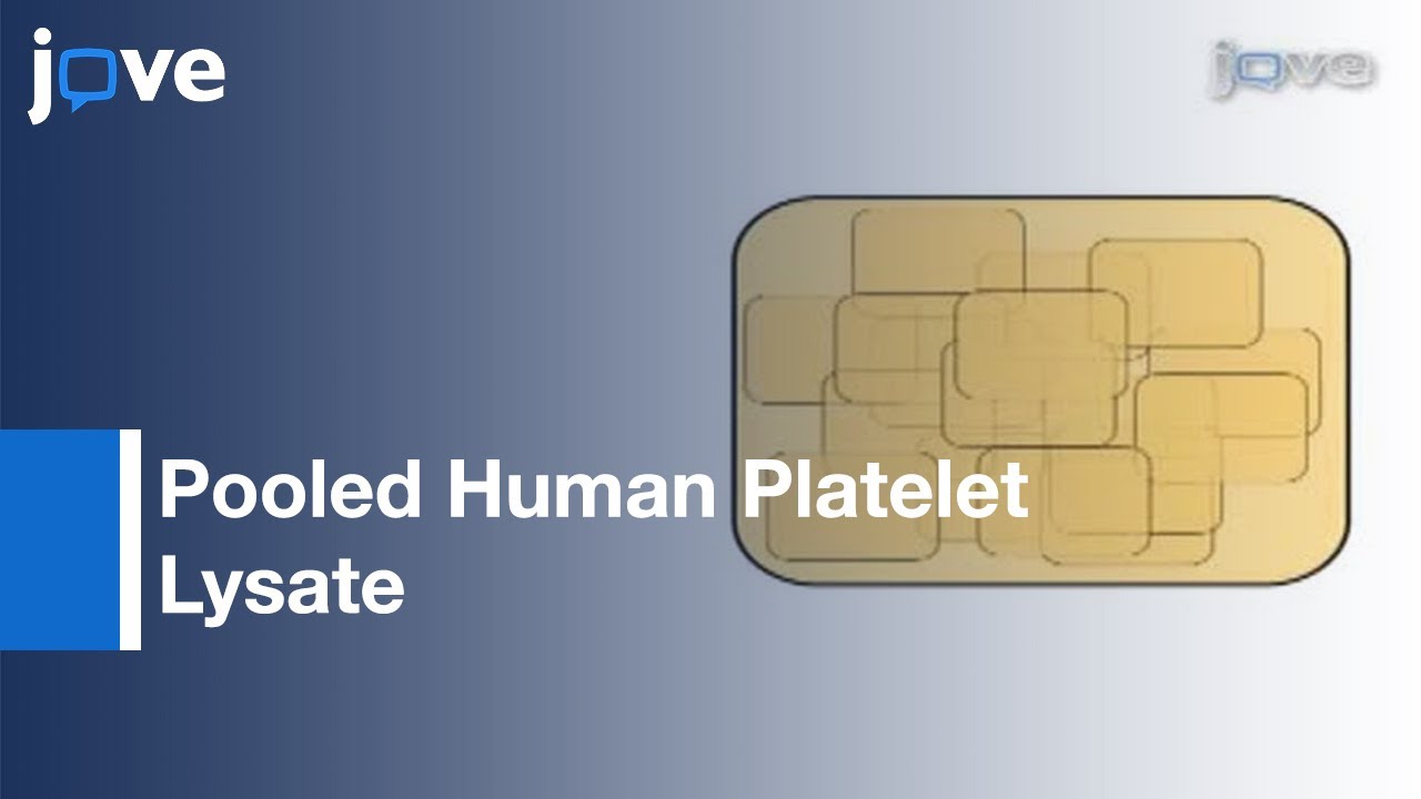 Preparation: pHPL Efficient Supplement:Animal Serum-Free Human Stem ...