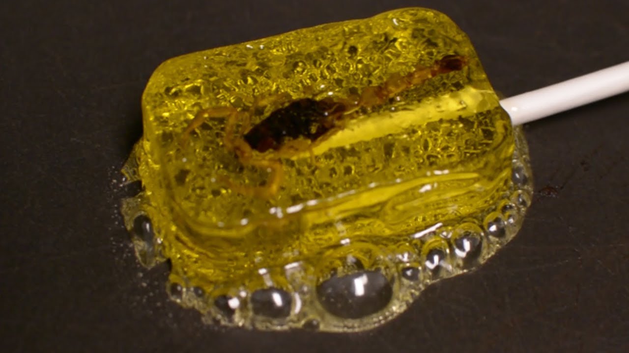 Melting A Scorpion Pop and Eating the Scorpion! (Fan Mail Ep. 3.5 ...