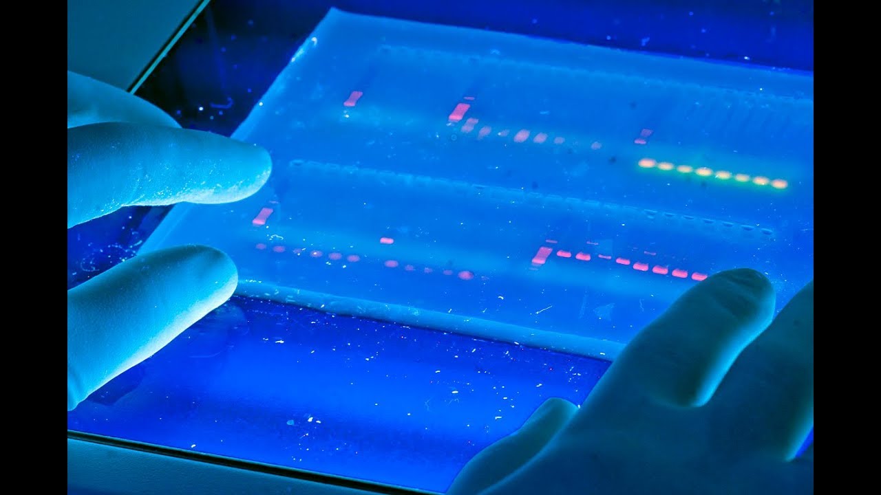 DHPLC A complete introduction - YouTube