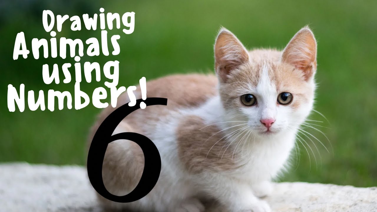 Learn how to draw an animal using numbers 3,4 and 6! - YouTube