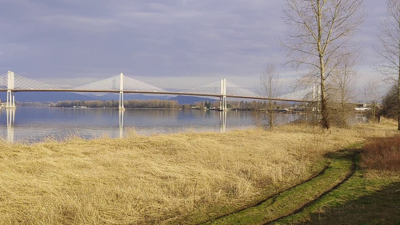 Barnston Island walk (February 21, 2020)(5) - YouTube