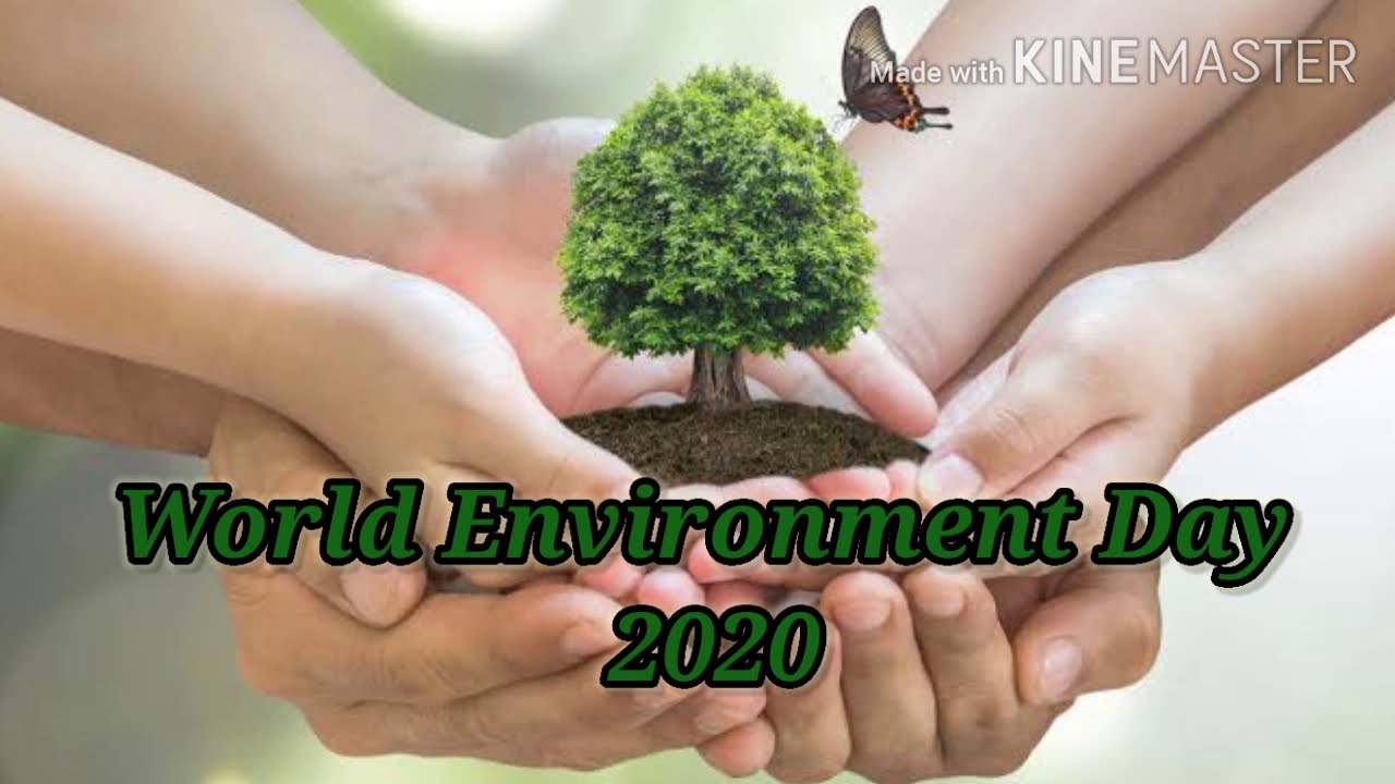 8. Environment day celebration with friends |Environment day ...