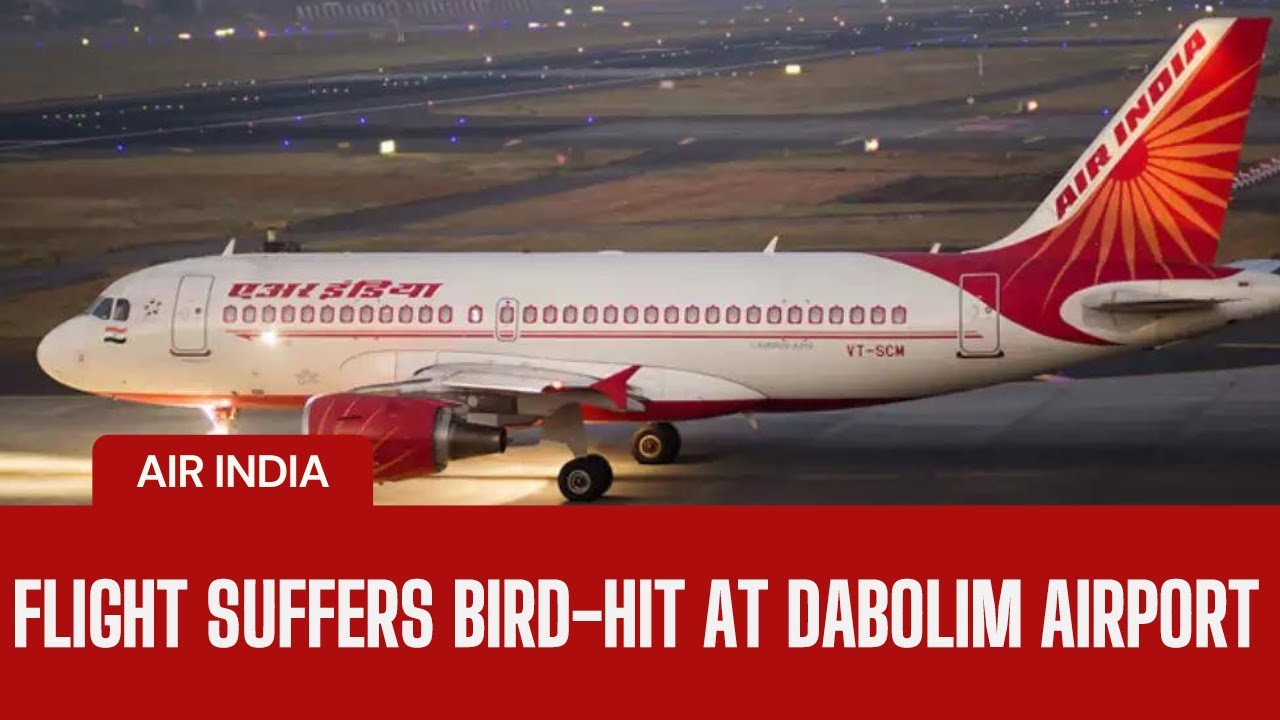 Air India Flight Suffers Bird-Hit At Dabolim Airport - YouTube