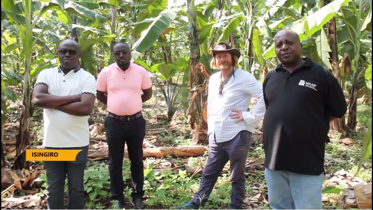 Farmers in Isingiro district are excited about the polyculture project ...
