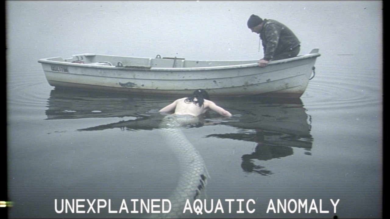 A Hand Closed Around His Wrist in the Chesapeake Fog | Real Mermaid ...