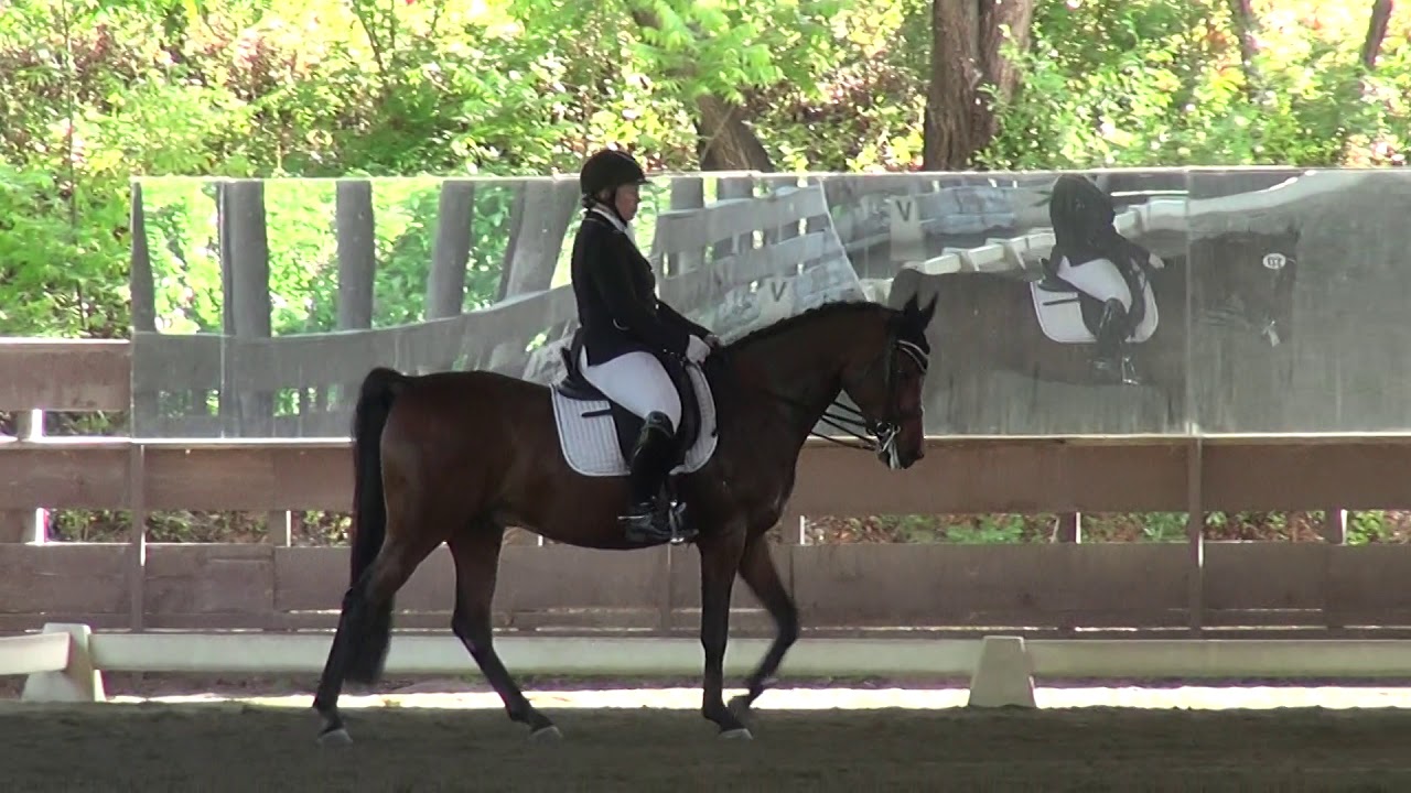 Sir Dillon & Lori Johnstone - 4th Level Test 1 - ICC Spring Rated Show ...