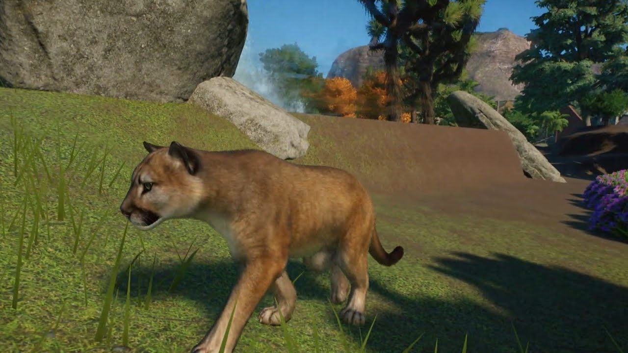 Planet Zoo ITA S 1 EP 12 : Il regno dei Puma - YouTube
