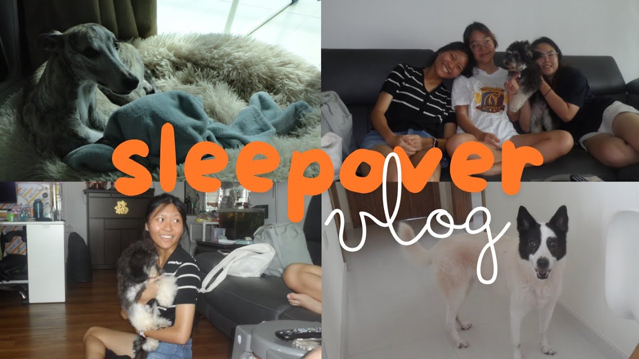 my first sleepover || 7AUG2024 (vlog) - YouTube