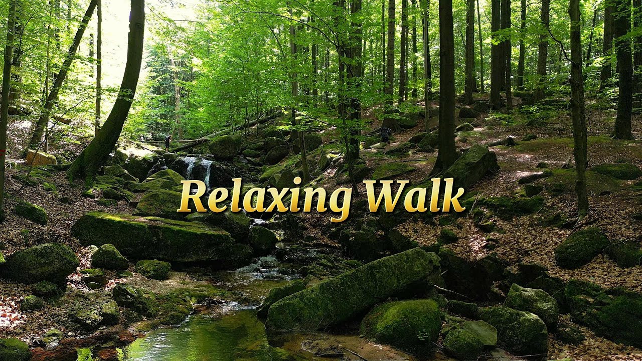 A relaxing walk through a mountain forest stream in 4K | Nature sounds ...