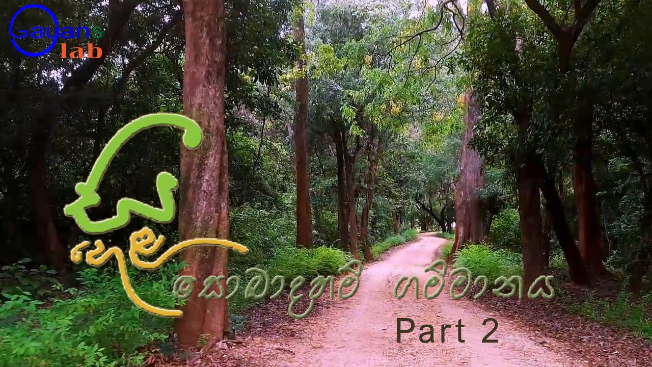 Seehela Nature Village | Elahera | Part 2 - YouTube