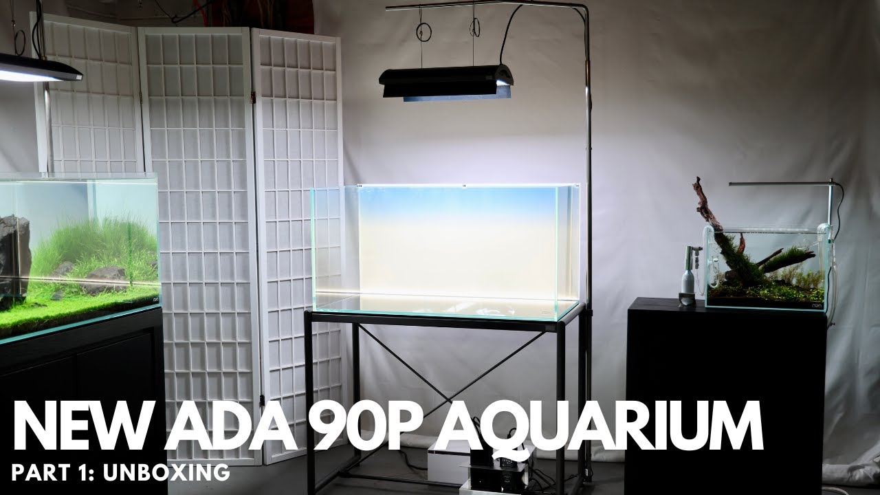 Unboxing My New ADA 90P Aquarium - YouTube