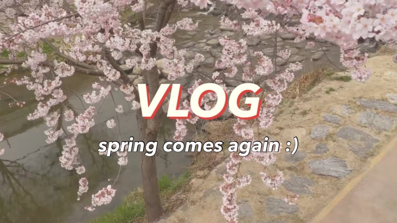 VLOG 3월-4월 | 교육공무직 계약직 끝 • 다시 돌아온 취준생 브이로그 • 봄을 즐기지 못한 당신께 • spring ...