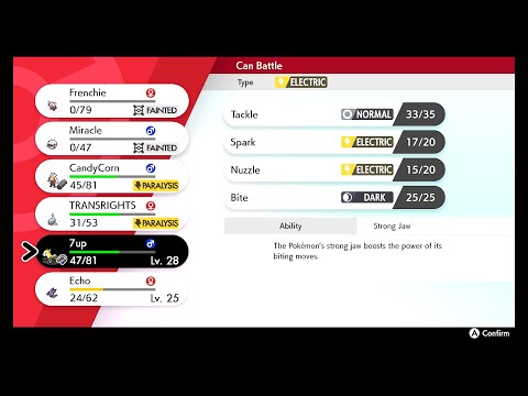 The Good Luck Fart Didn't Work | Pokemon Shield Episode 23