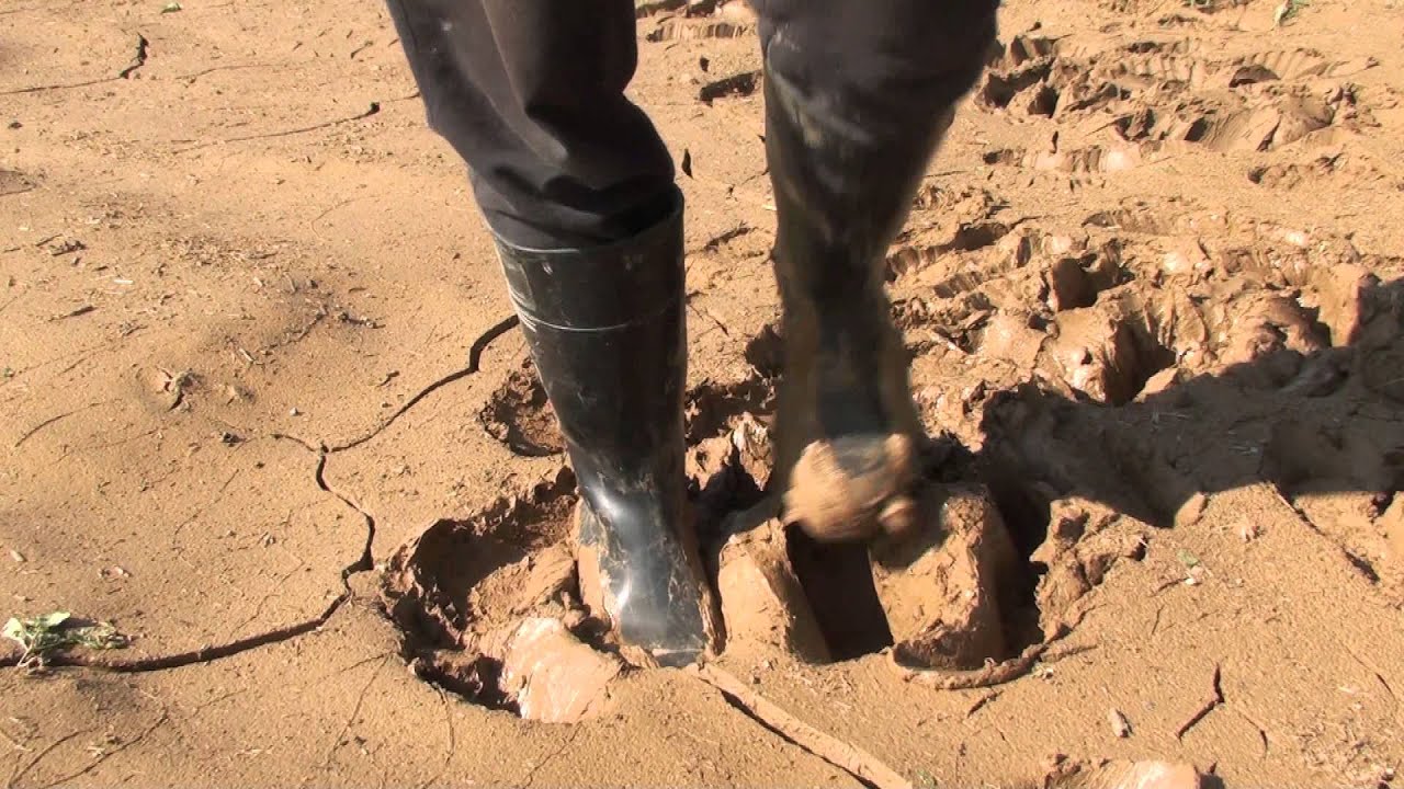 pasty sticky brown runoff mud in Nora wellies - YouTube