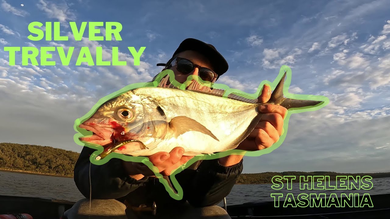 ST HELENS TASMANIA Silver Trevally on Soft Plastics - YouTube