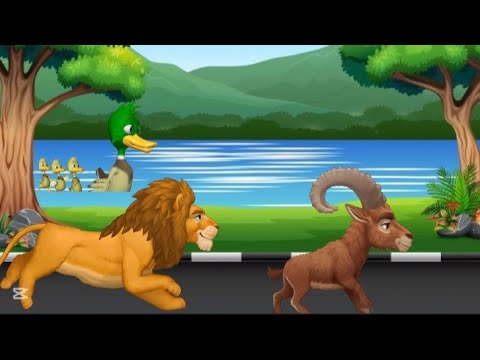 GOAT vs LION: The Ultimate Animal Stampede - YouTube