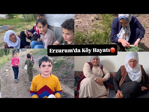 Erzurum’da Yeni Bir Güne Başlıyoruz Bol Misafirli Hazırlıklarla Hadi Sizde Gelin 🛑