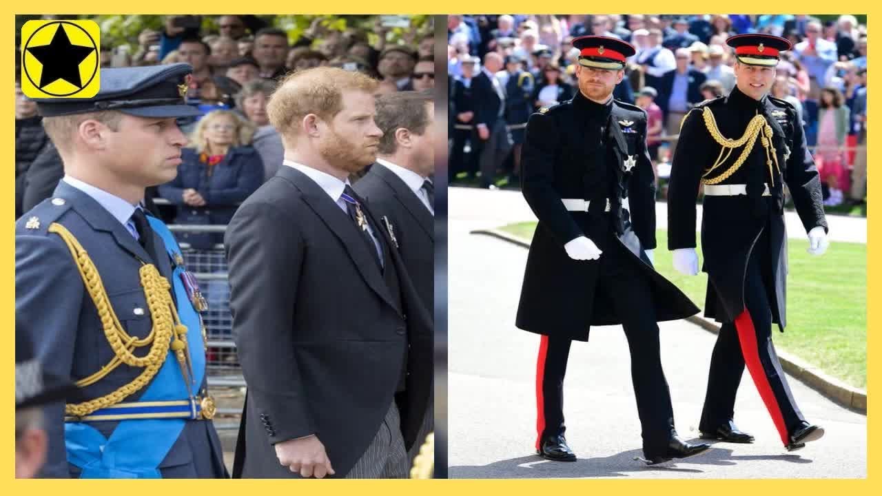 Prince Harry : pourquoi il a snobé l'invitation de son frère William à ...