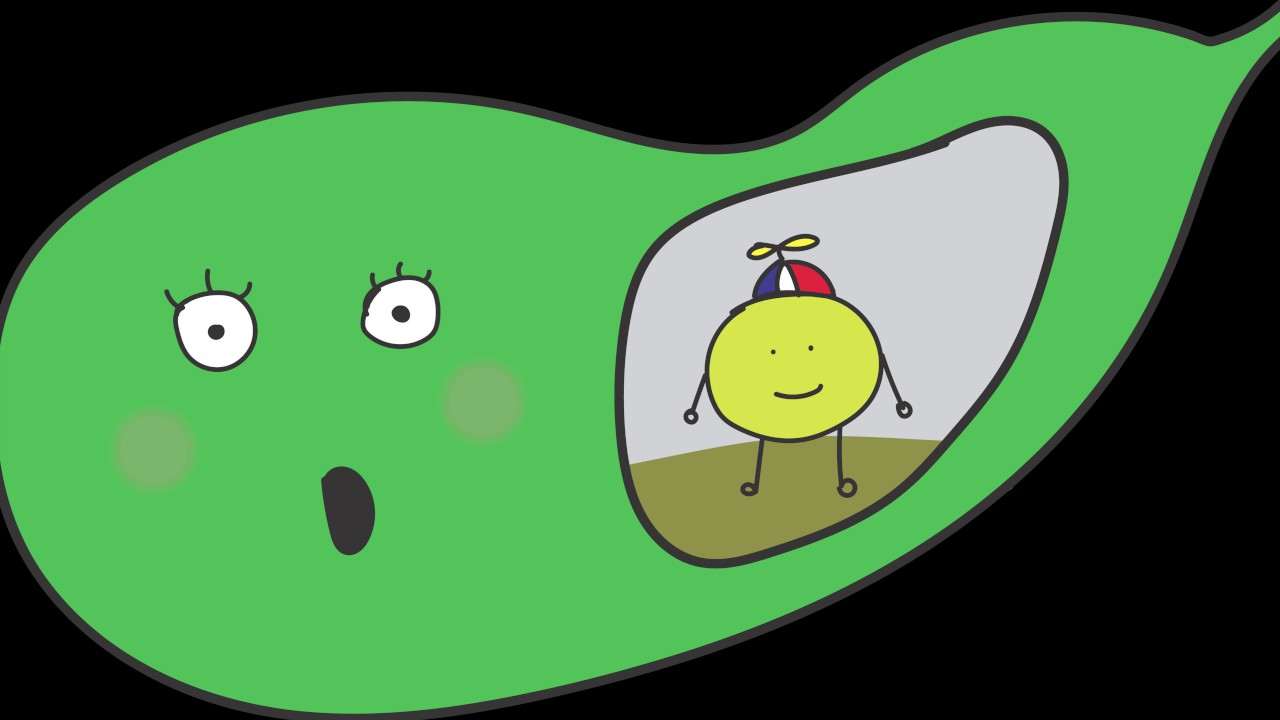 Gallbladder Cartoon I Made These