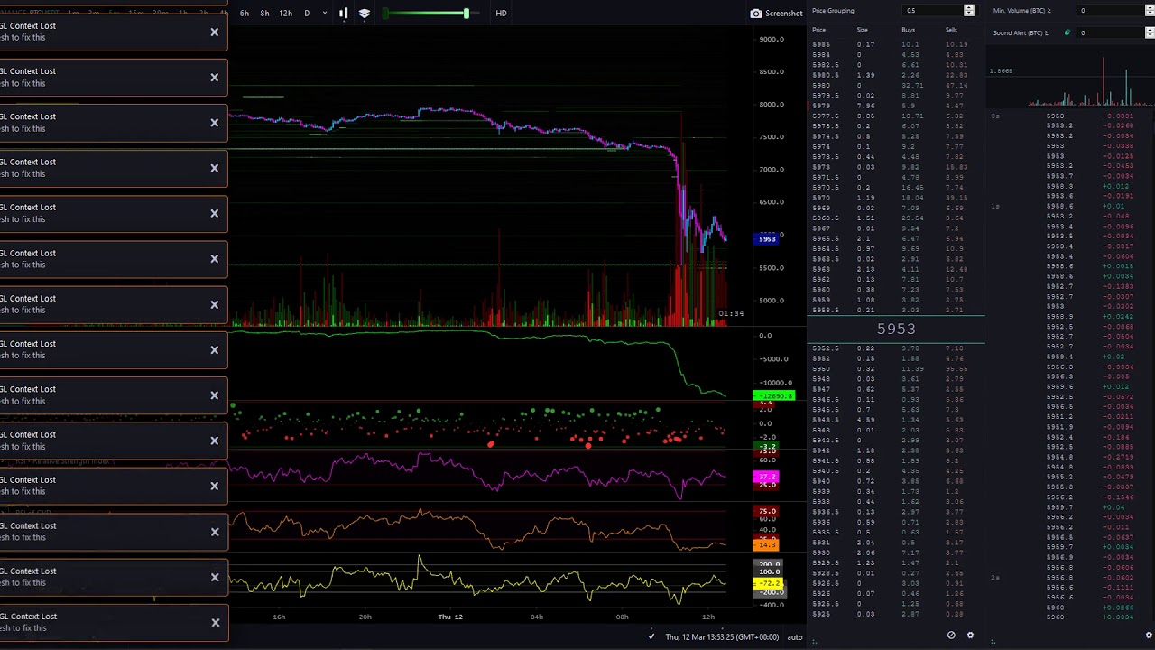 TradingLite EDM - YouTube