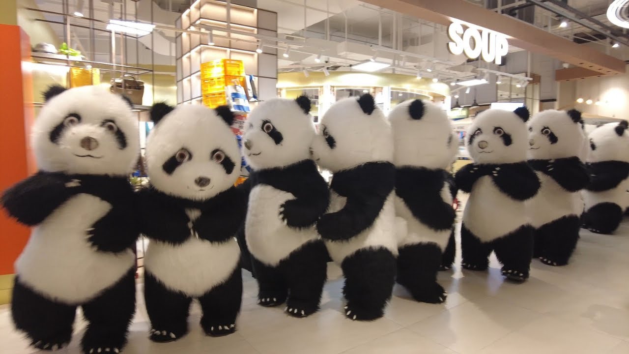 【4K THAILAND】25 Pandas, 1 Epic Performance–Don’t Miss This Spectacle ...