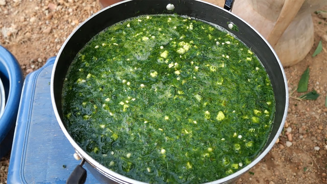 Cooking traditional food Cassava leafs with Millet TZ !! Healthy local ...