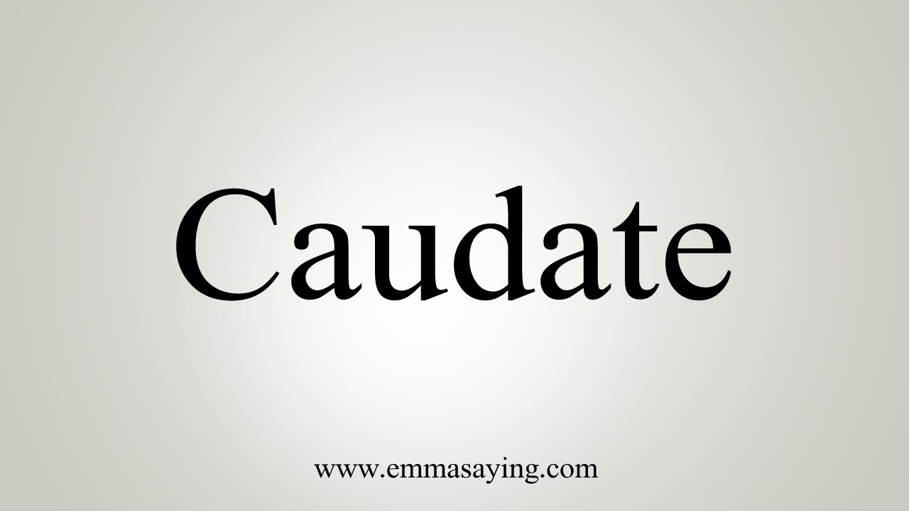 How To Say Caudate - YouTube