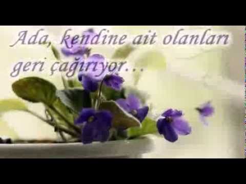 Mart Menekşeleri - Sarah Jio