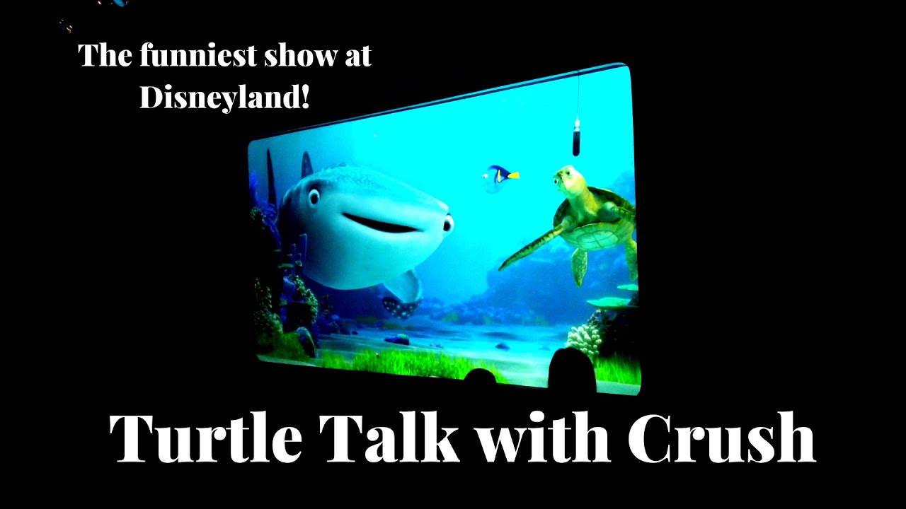 Turtle Talk with Crush Full Show with Finding Dory Characters 2020 ...