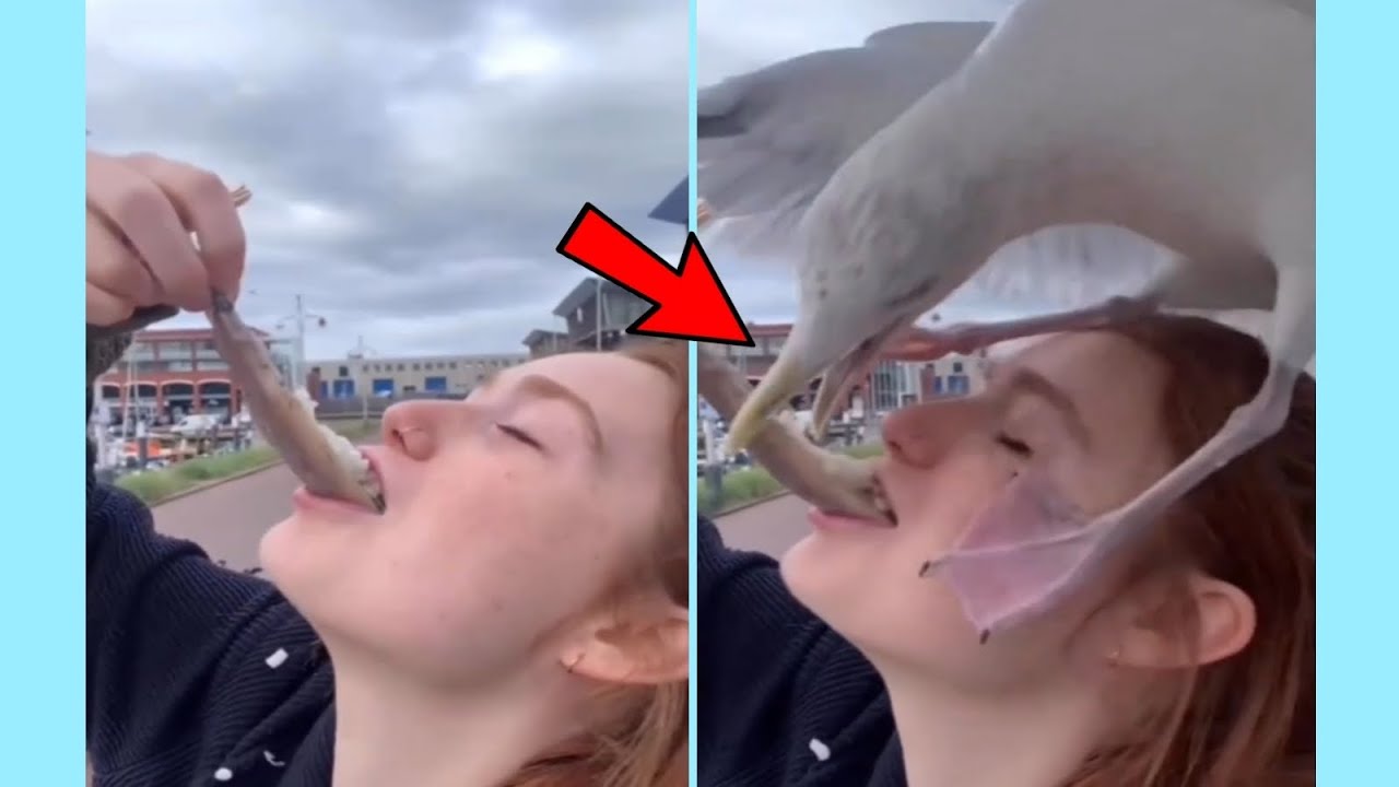 BEST FAILS OF 2022 | FAILS OF THE WEEK | FAILS COMPILATION #fails - YouTube