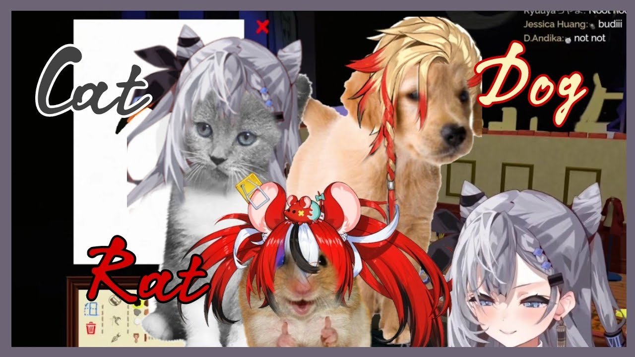 Zeta akhirnya Sadar Dirinya Kucing, Lengkap sudah Trio Hewan ini ...