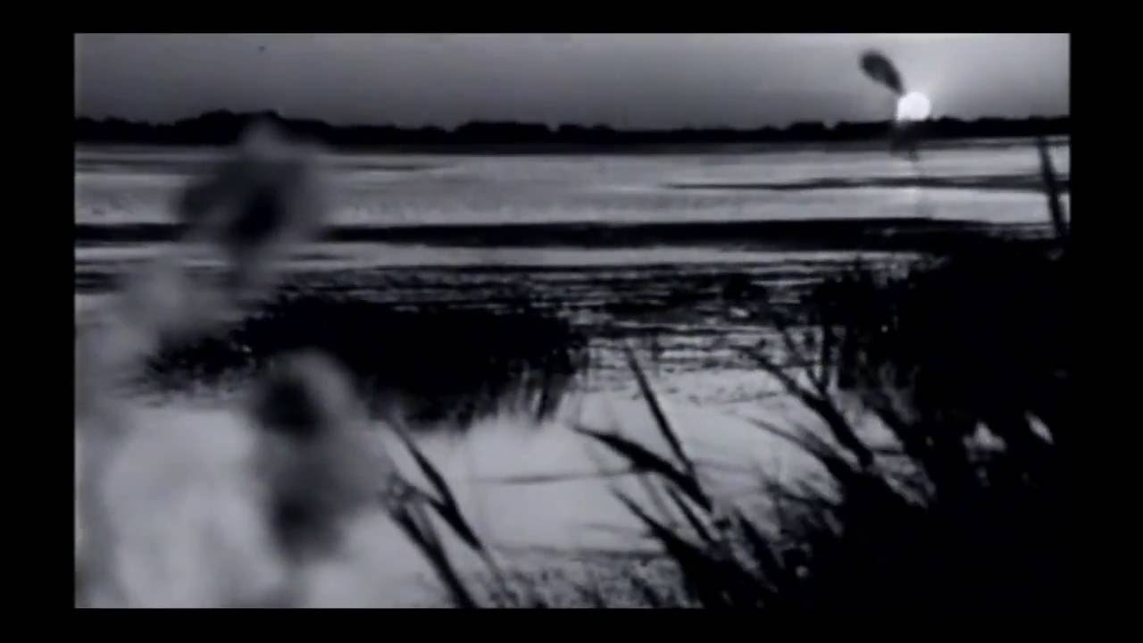 Mario Fattori * Portrait - YouTube