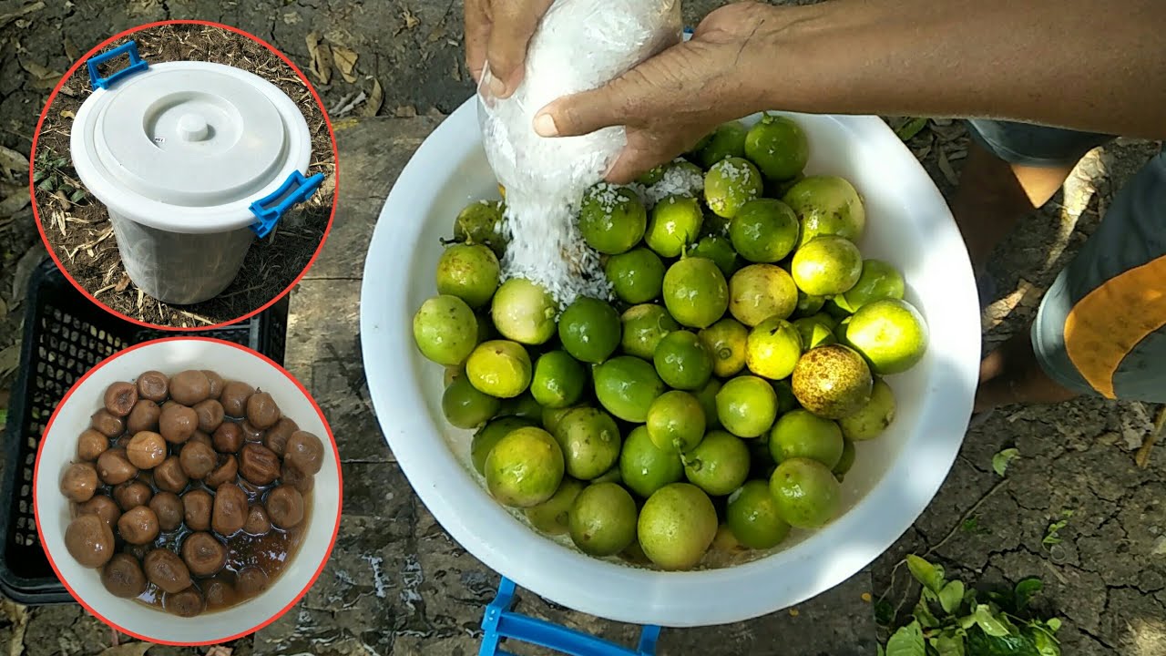 How to make Fermented limes,New technology, របៀបធ្វើង៉ាំង៉ូវ ងាយៗ - my ...
