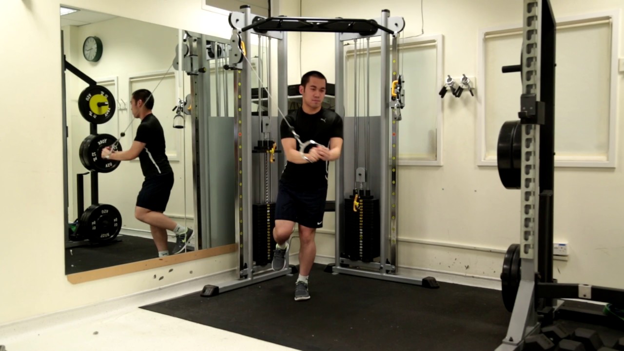 Cable single leg rotation - YouTube