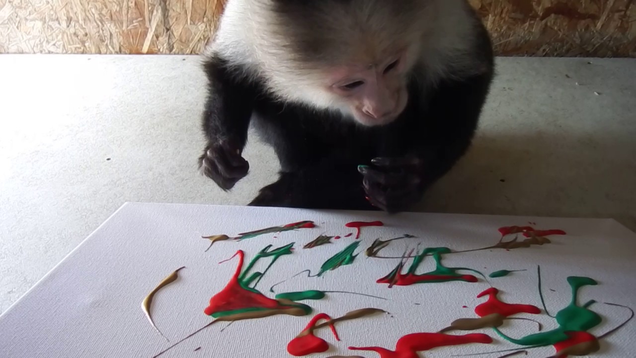 Painting Monkey - YouTube