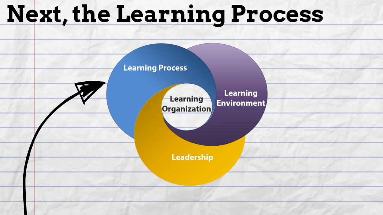Learning Organization - YouTube