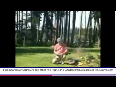 Contech Electronics CRO101 Scarecrow Motion-Activated Sprinkler (www ...