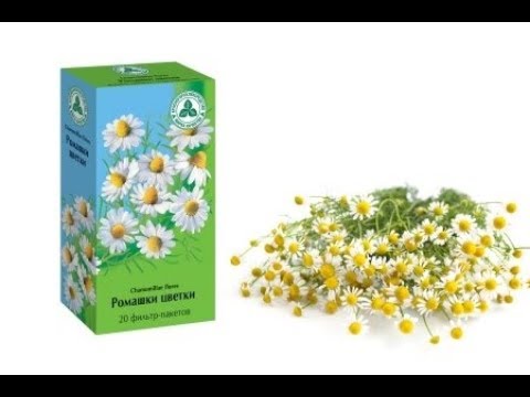 Ромашка как лекарство для домашних голубей - YouTube