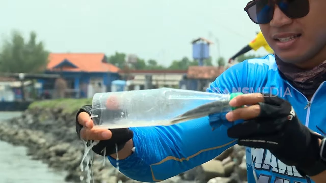 Duel Mancing Ikan Belanak Pakai Botol Bekas | MANCING MANIA STRIKE BACK ...