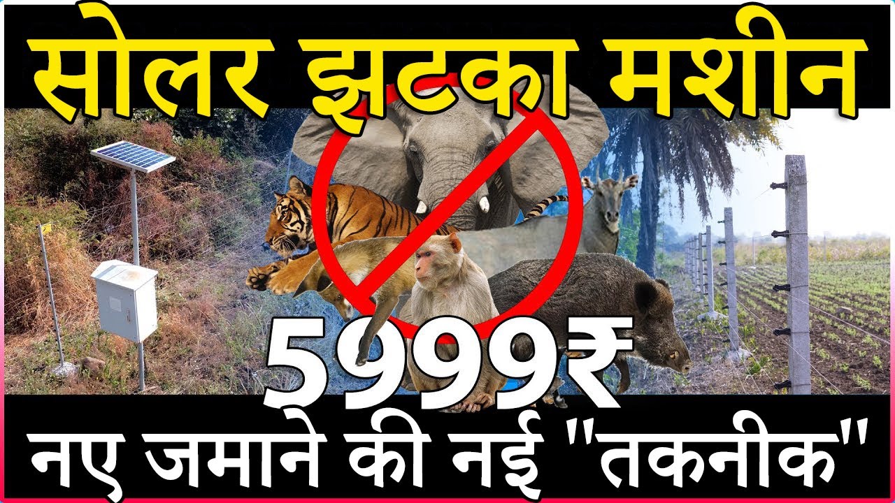 सोलर झटका मशीन / सोलर फेंसिंग सिस्टम | Solar Jhatka / Zatka machine ...