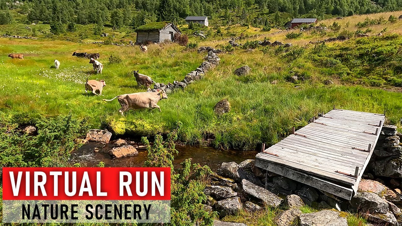 Virtual Run | Lovely Trailrunning Workout | Nature Scenery in Norway ...