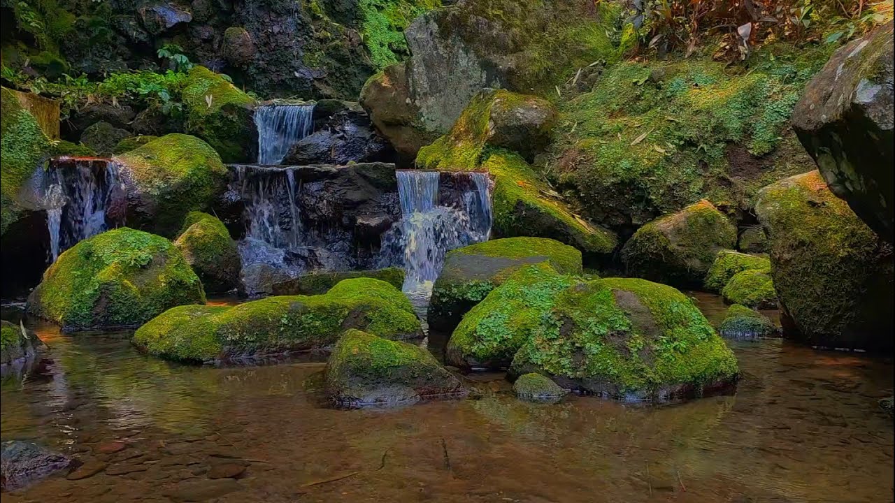 Find serenity with calming water sounds into a restful slumber Great ...