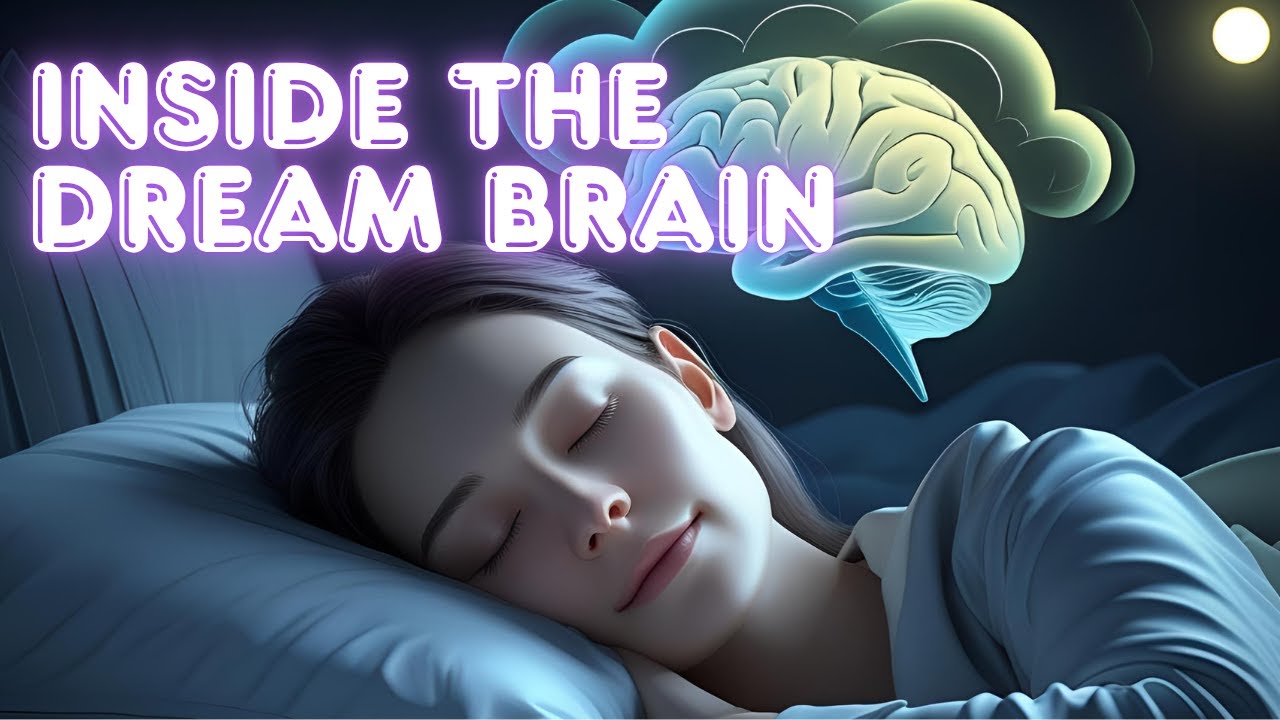 What's REALLY Happening in Your Brain When You Dream - YouTube