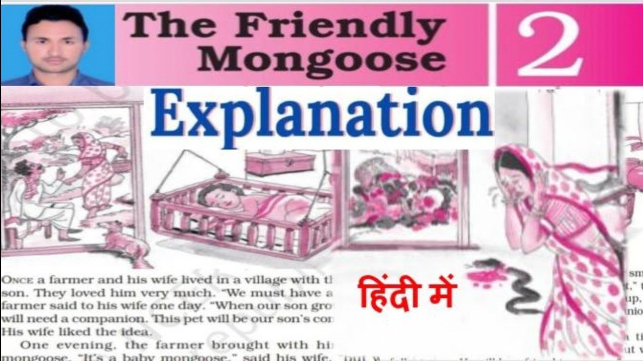 the friendly mongoose class 6 in english story|the friendly mongoose ...