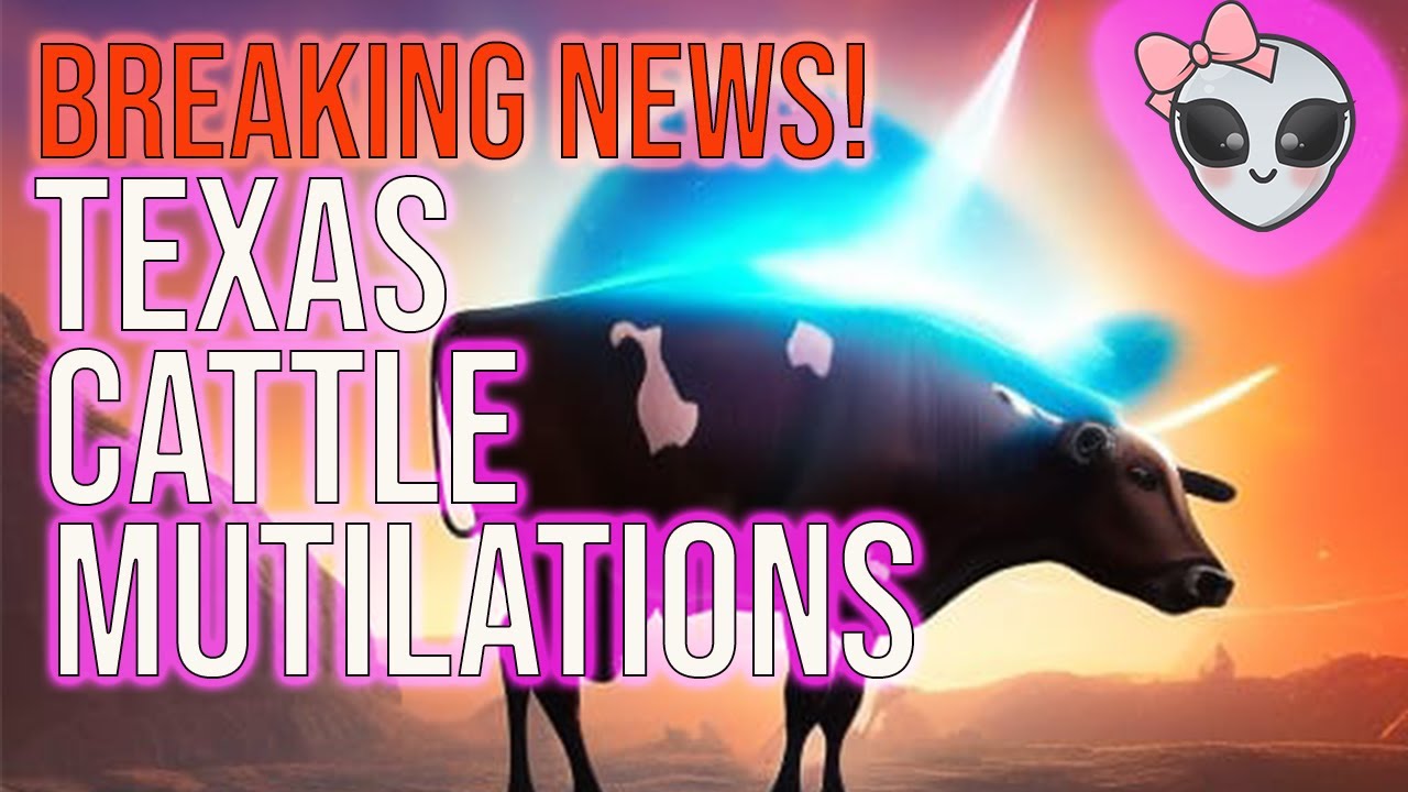 CATTLE MUTILATIONS MAKE MAINSTREAM MEDIA NETWORKS! - YouTube