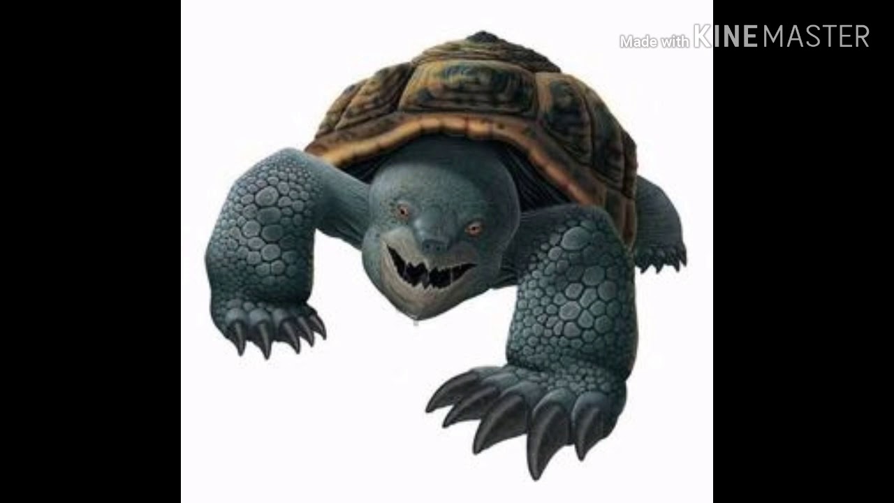 Prehistoric Island: Giant Turtle Roar - YouTube